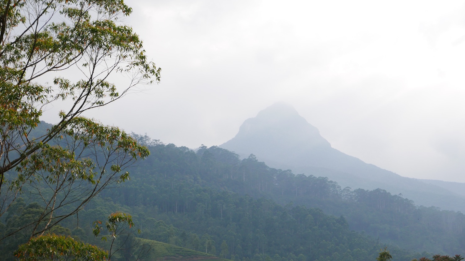 Podcast | Adam's Peak: In Search of a Prophet | Sacred Footsteps